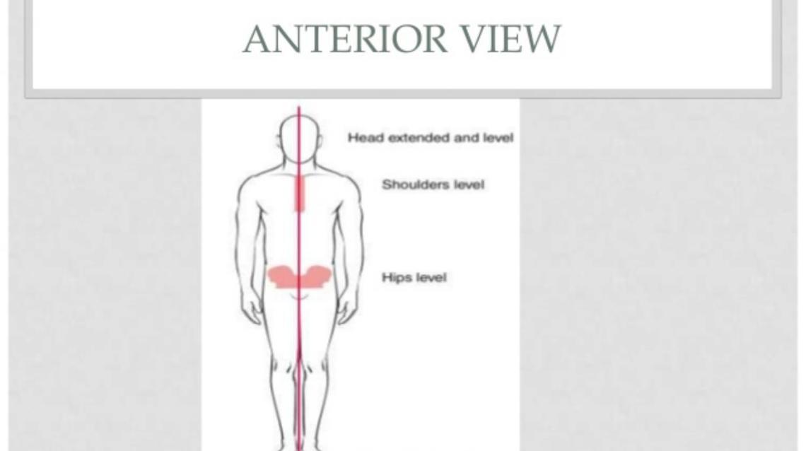 5 Key Points for Structurally Efficient Posture (Anterior View)