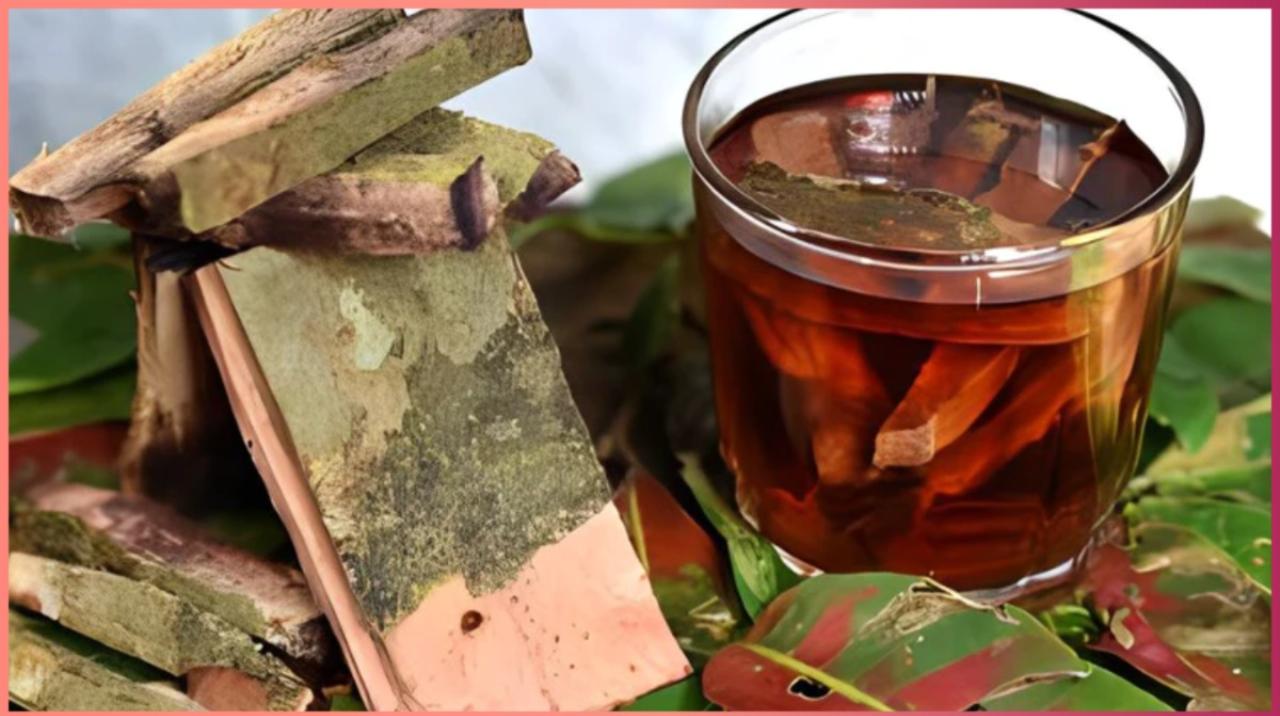 Herbal Arjun Tea for Healthy Heart - All You Need to Know!