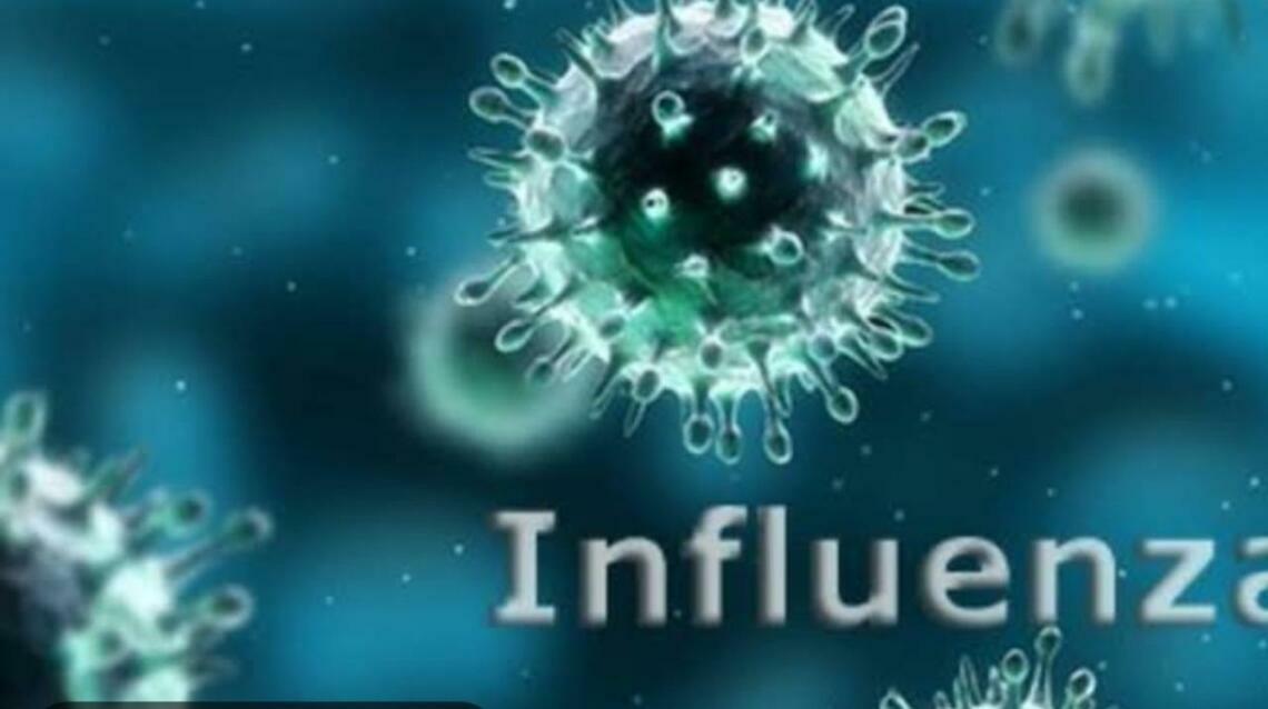 Influenza Virus