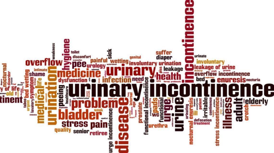 5 Things You Need to Know About Stress Urinary Incontinence (or SUI) in ...