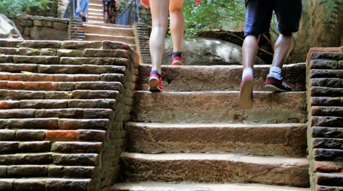 Skip the Elevator, Start Climbing the Stairs: A Step Towards a ...