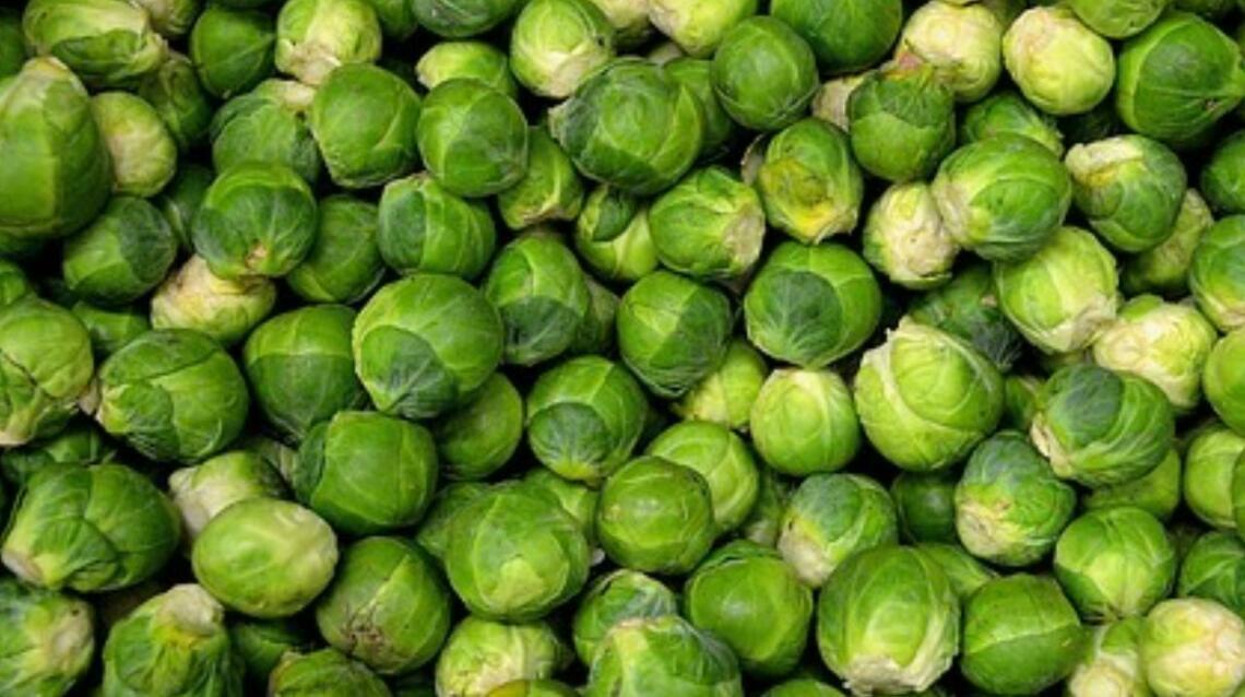 Unraveling the Truth: Are Sprouts Really Healthy for Our Body?