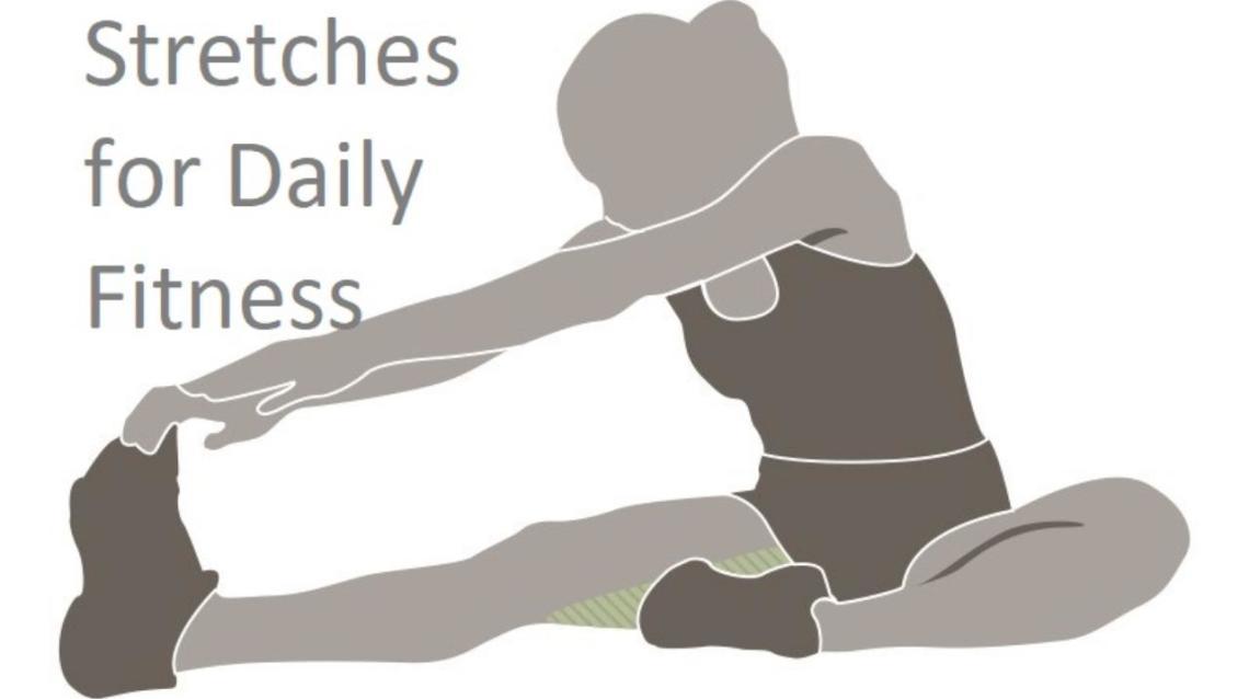 16 Physiotherapy Stretches for Daily Fitness