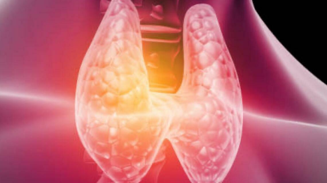 Powering Your Thyroid: A Tale of Mighty Gland and Its Feast