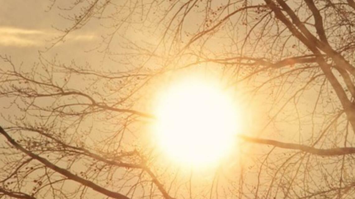 Sunburn and Photoaging: Understanding and Managing Skin Damage in Gujarat