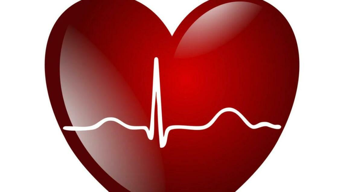 Understanding Heart Rate: Key Factors That Influence It