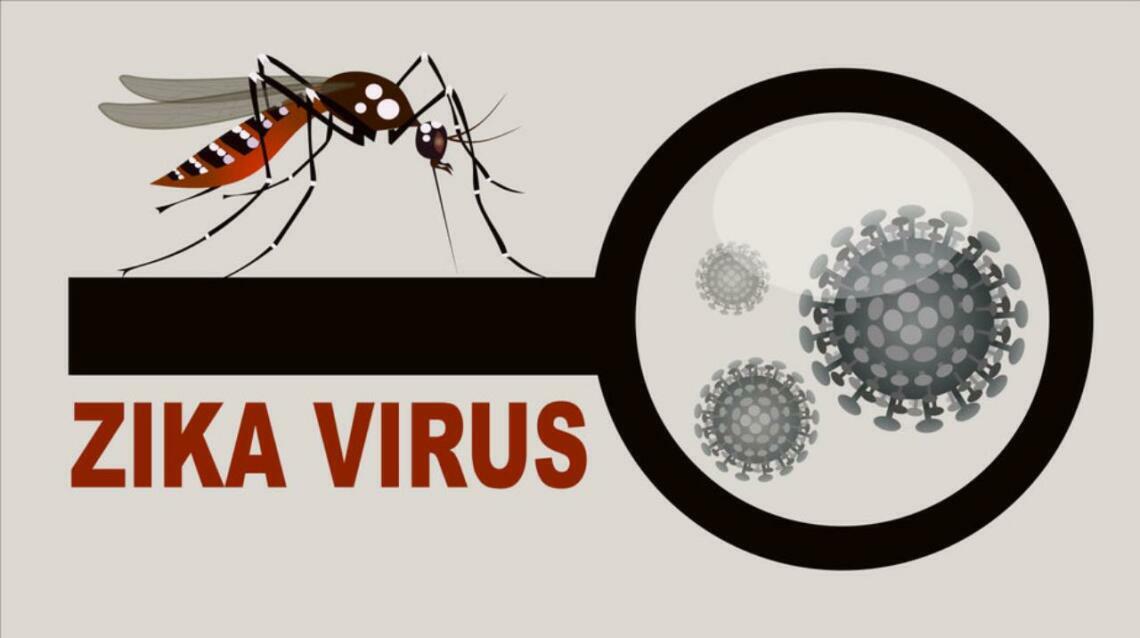 All About Zika Virus