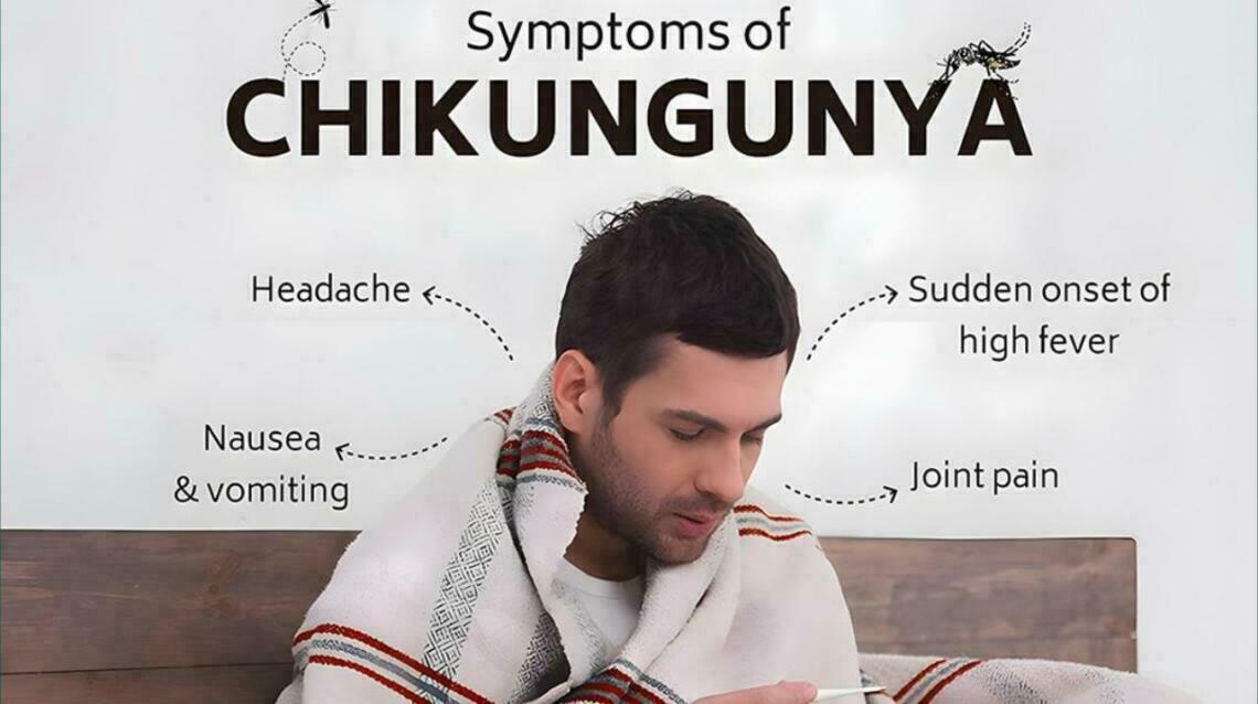 How to Choose the Right Ayurvedic Treatment for Chikungunya by ...