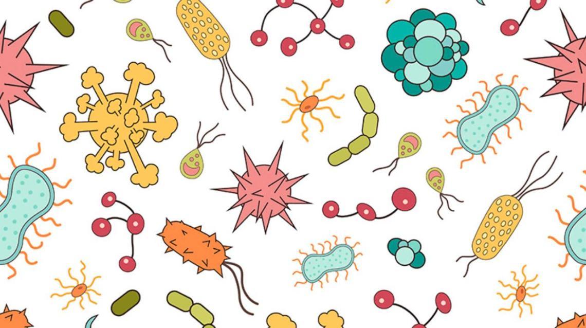 Microflora in the Oral Cavity#microbes#microrganisms#