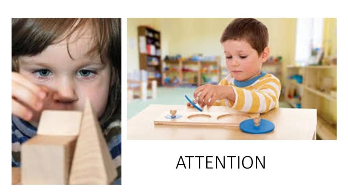 Part Iii: How to Improve Attention for Children With Special Needs?