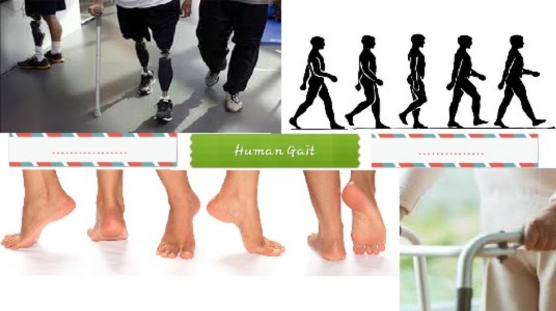 Treatment & Management of Abnormal Gait