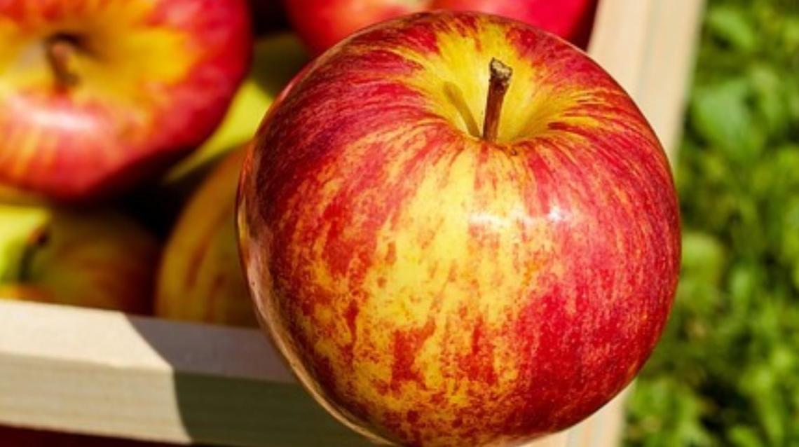 5 Reasons Apples Are a Perfect Pick